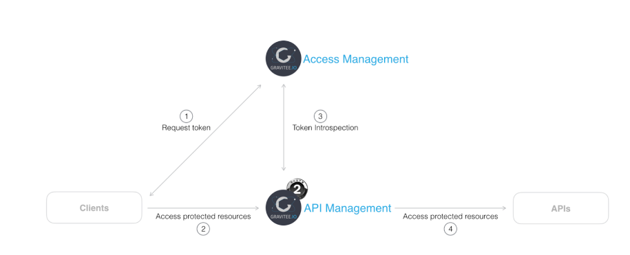 ¿Qué es Gravitee API Management? Lasolución para tus APIs